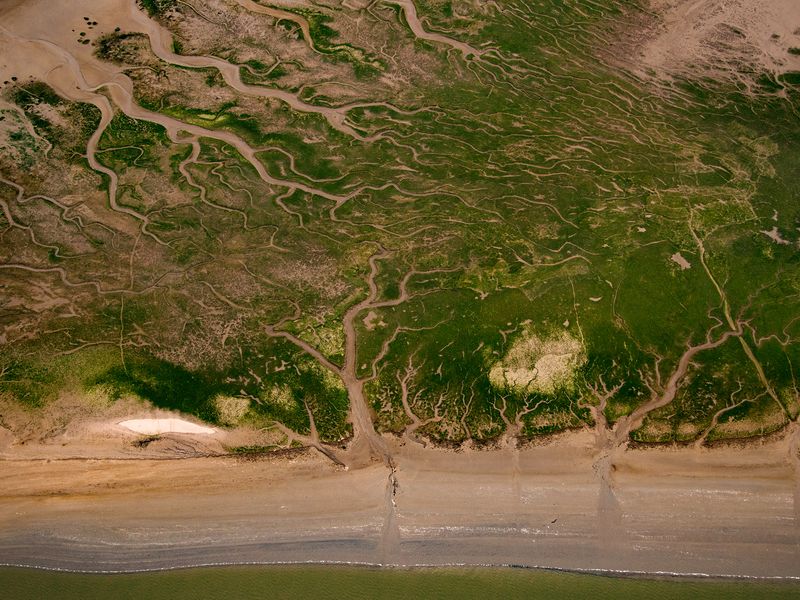Marshland Trees | Smithsonian Photo Contest | Smithsonian Magazine