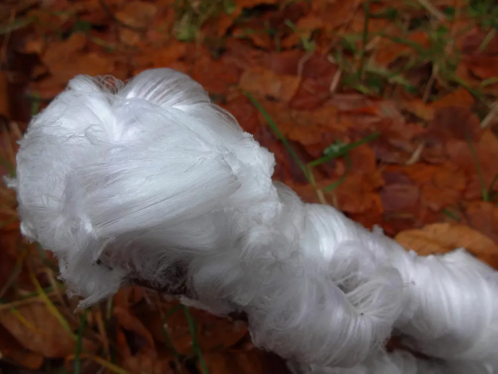 frost on trees called