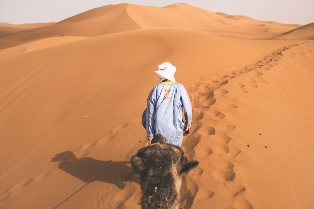 Camel Leader | Smithsonian Photo Contest | Smithsonian Magazine