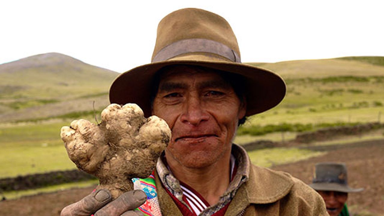 Inca Agricultural Practices Hispanic Outlook