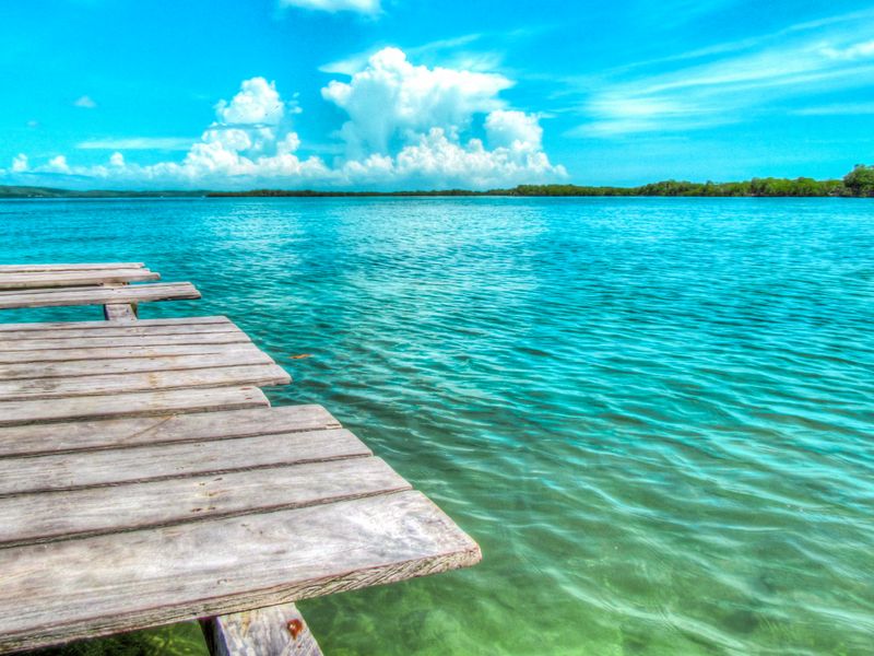 Venezuelan Beach | Smithsonian Photo Contest | Smithsonian Magazine