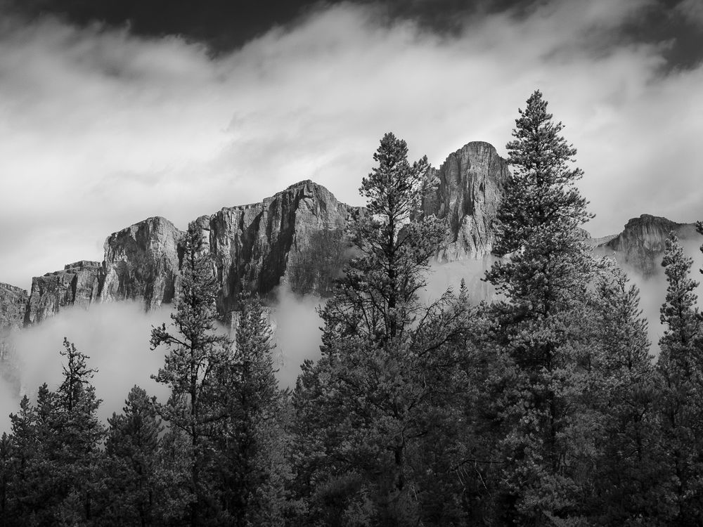 Tree Line ~ Banff National Park, Canada | Smithsonian Photo Contest ...