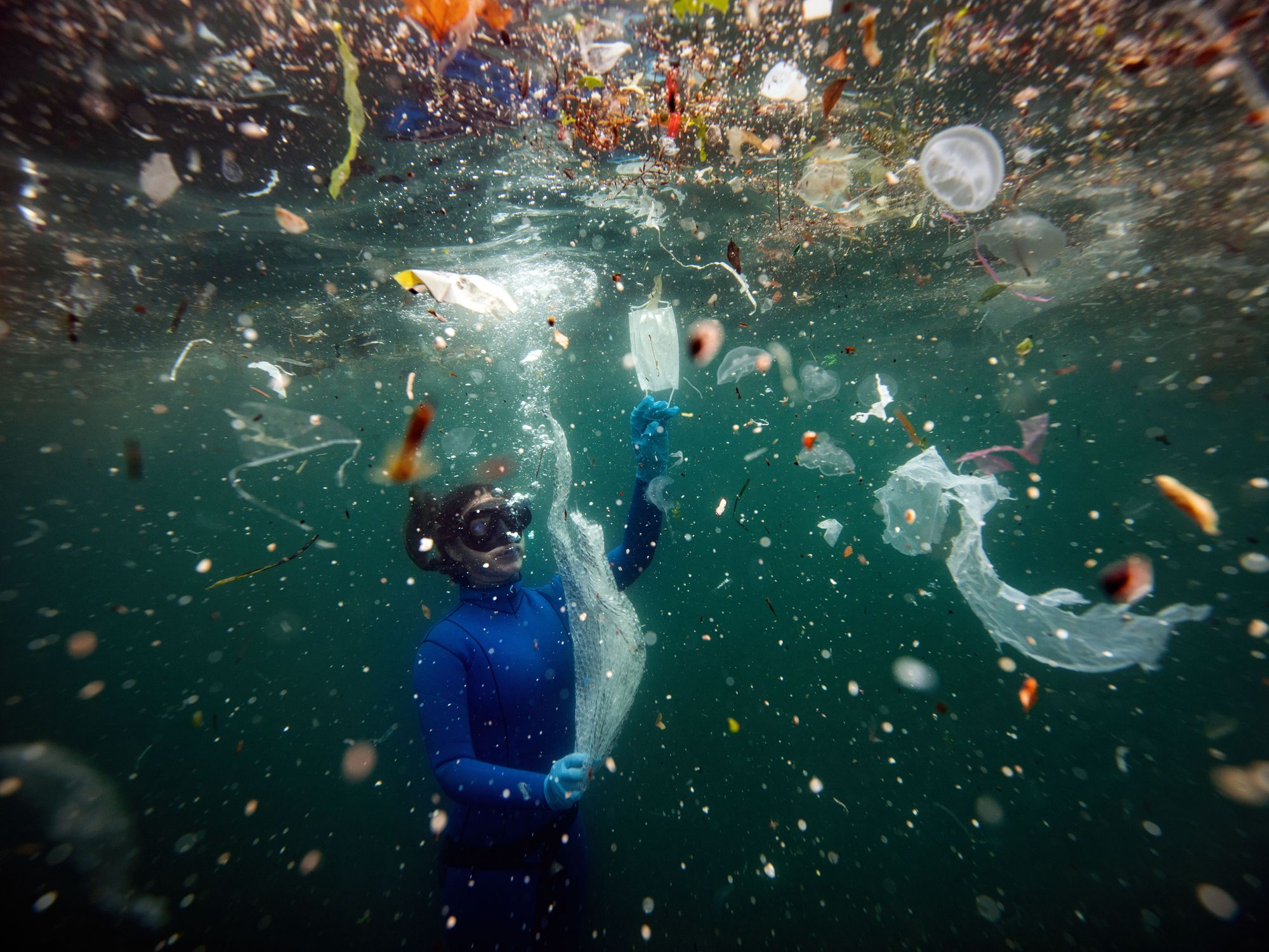 Scientists Discover Microbes That Could Revolutionize Plastic Recycling