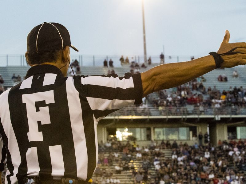 Football referee making a call | Smithsonian Photo Contest ...