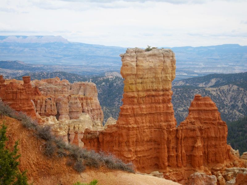 A Hoodoo in Bryce Canyon | Smithsonian Photo Contest | Smithsonian Magazine