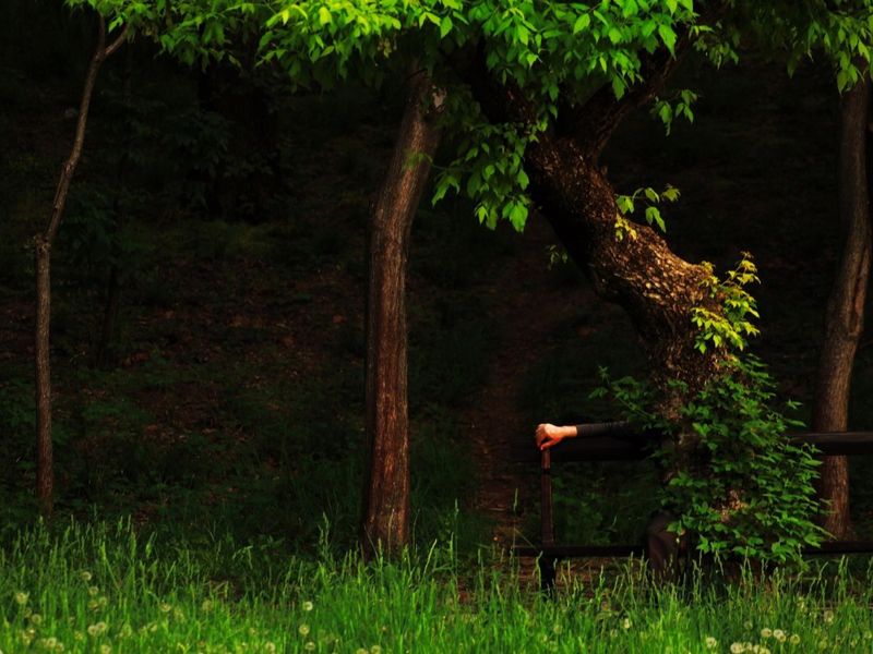 Old man and his tree. | Smithsonian Photo Contest | Smithsonian Magazine