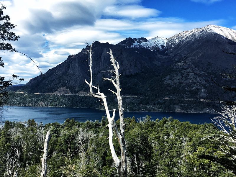 The Lonely Argentinian Tree | Smithsonian Photo Contest | Smithsonian ...