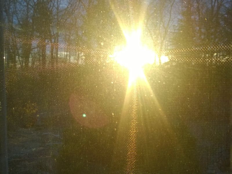 Sunrise Gift | Smithsonian Photo Contest | Smithsonian Magazine