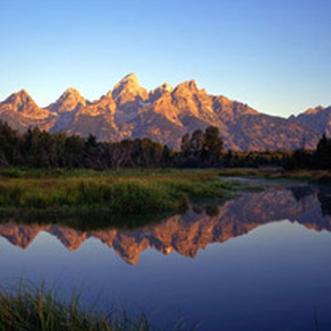 Information About Grand Teton