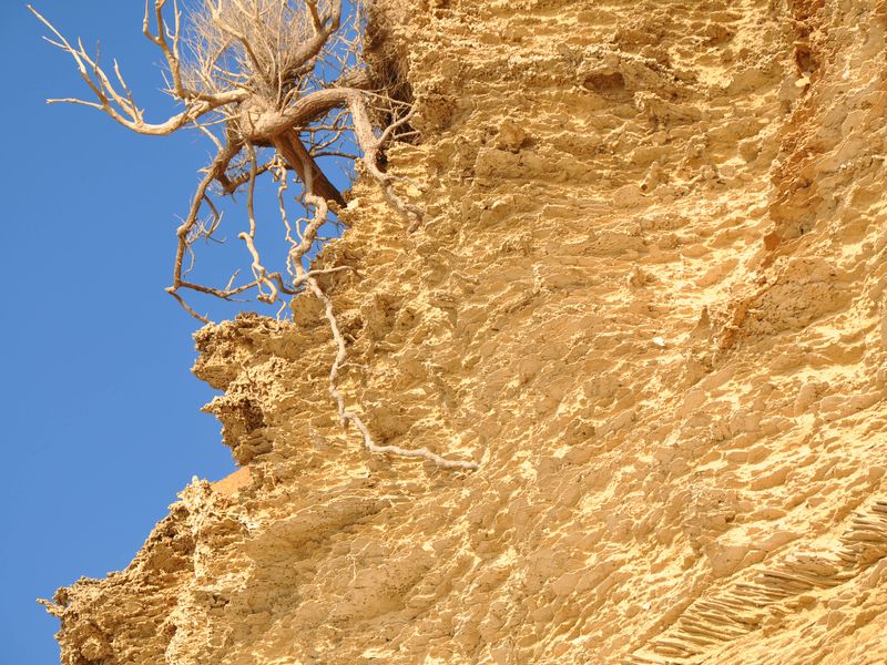 "calcareous sandstone"‏‏. | Smithsonian Photo Contest | Smithsonian ...