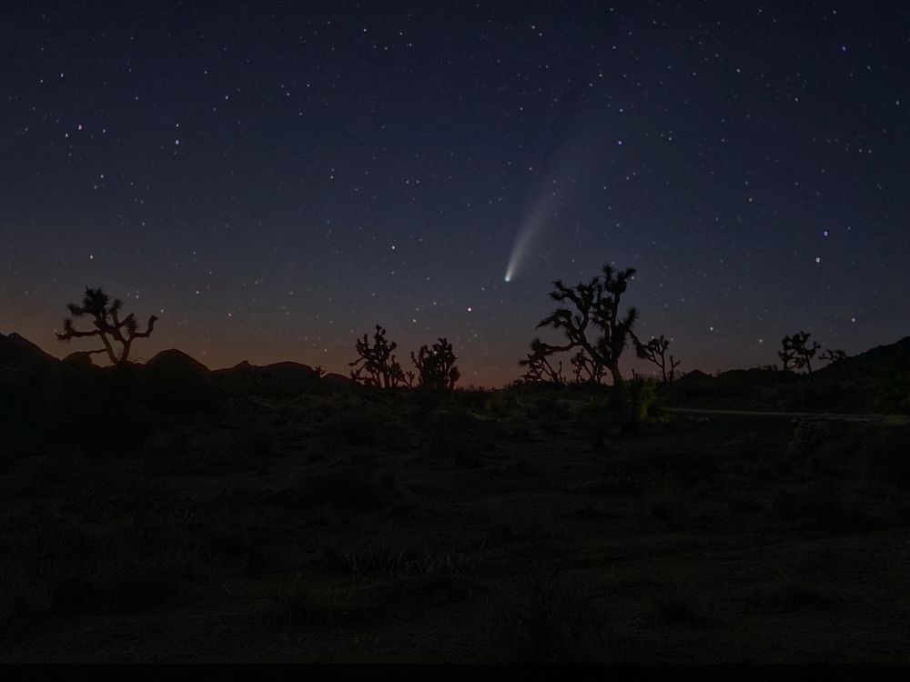 Comet NEOWISE over Joshua Tree | Smithsonian Photo Contest ...