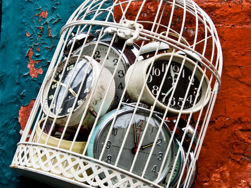 Time Trap | Smithsonian Photo Contest | Smithsonian Magazine