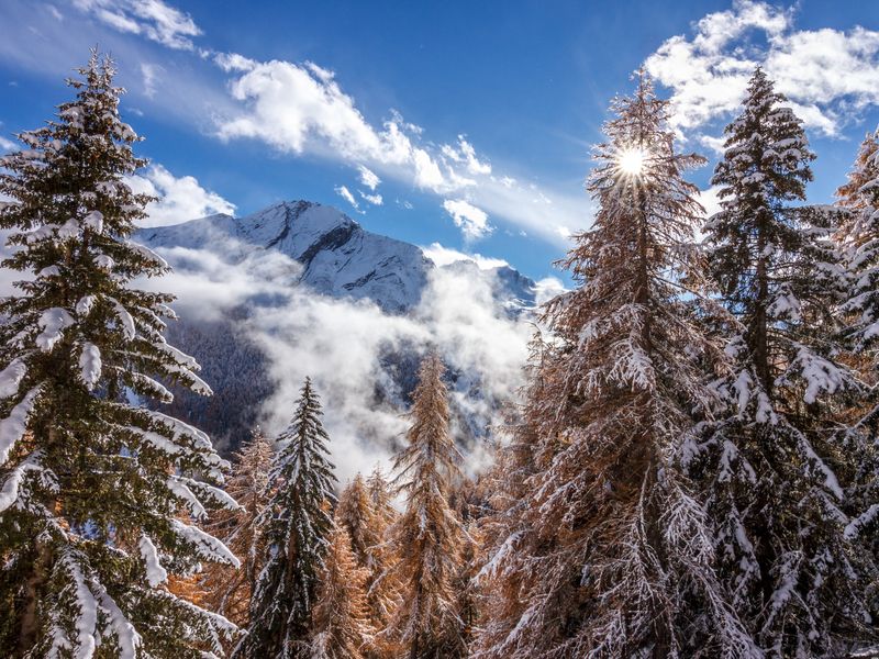 Between autumn and winter | Smithsonian Photo Contest | Smithsonian ...