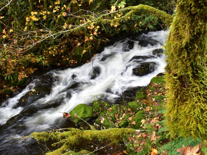 Fishhawk Falls in Autumn | Smithsonian Photo Contest | Smithsonian Magazine