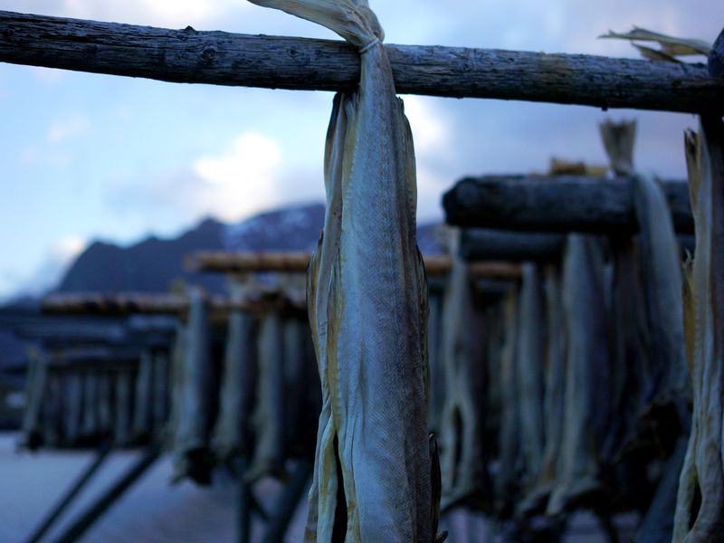 Fish Drying | Smithsonian Photo Contest | Smithsonian Magazine