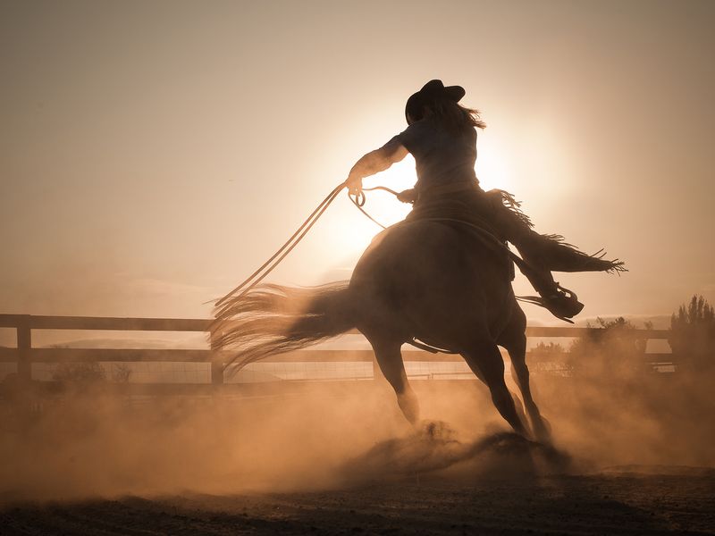 Female horse trainer working a cutting and reining horse in the arena ...