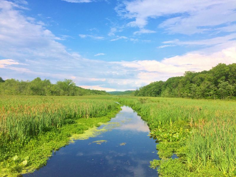 Beautiful marsh in northern New Jersey | Smithsonian Photo Contest ...