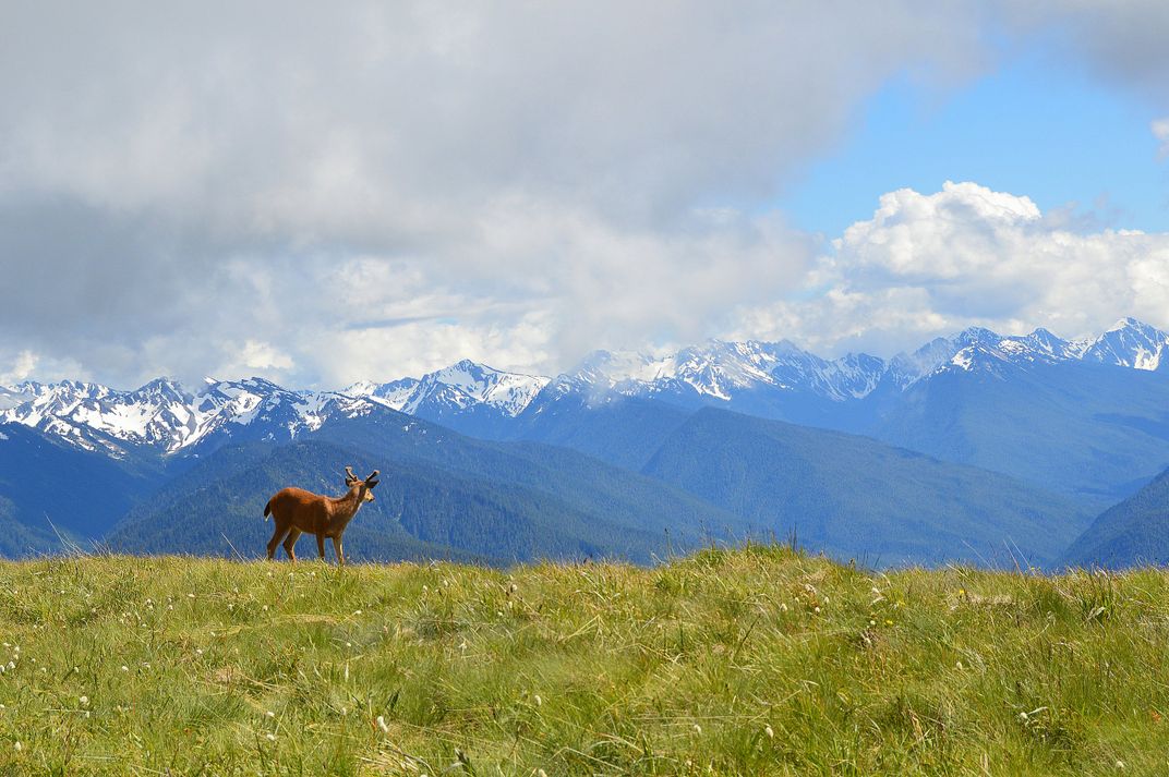 View from the Top | Smithsonian Photo Contest | Smithsonian Magazine