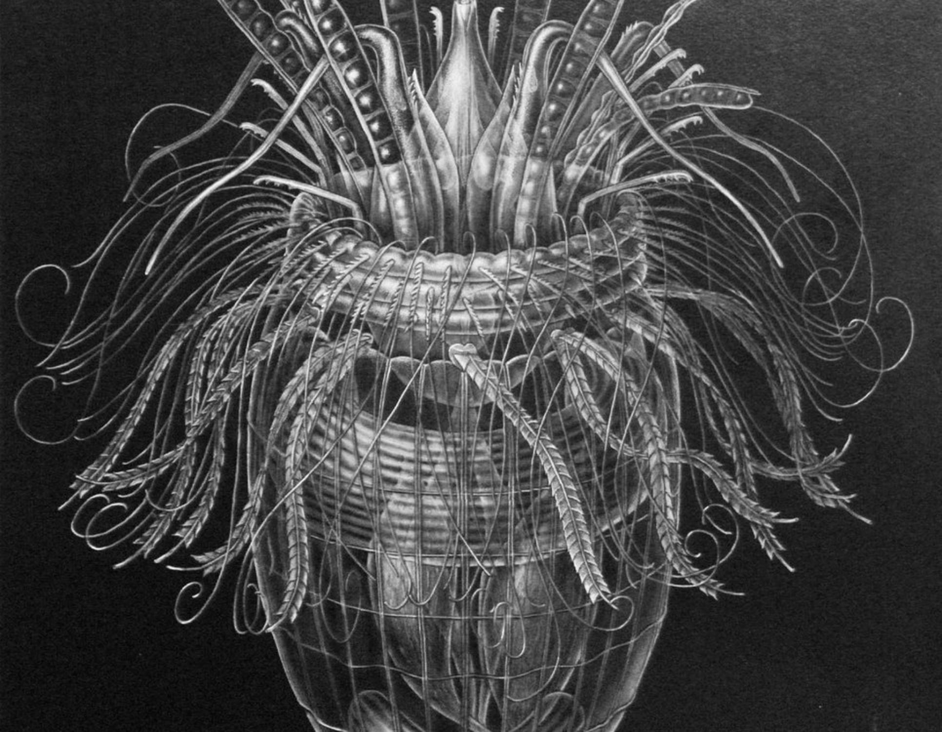 Science Illustration: A Creative Door for Early Women in Science ...