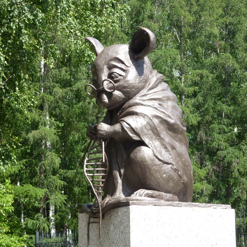 Siberian Mouserussian Siberian Mouses
