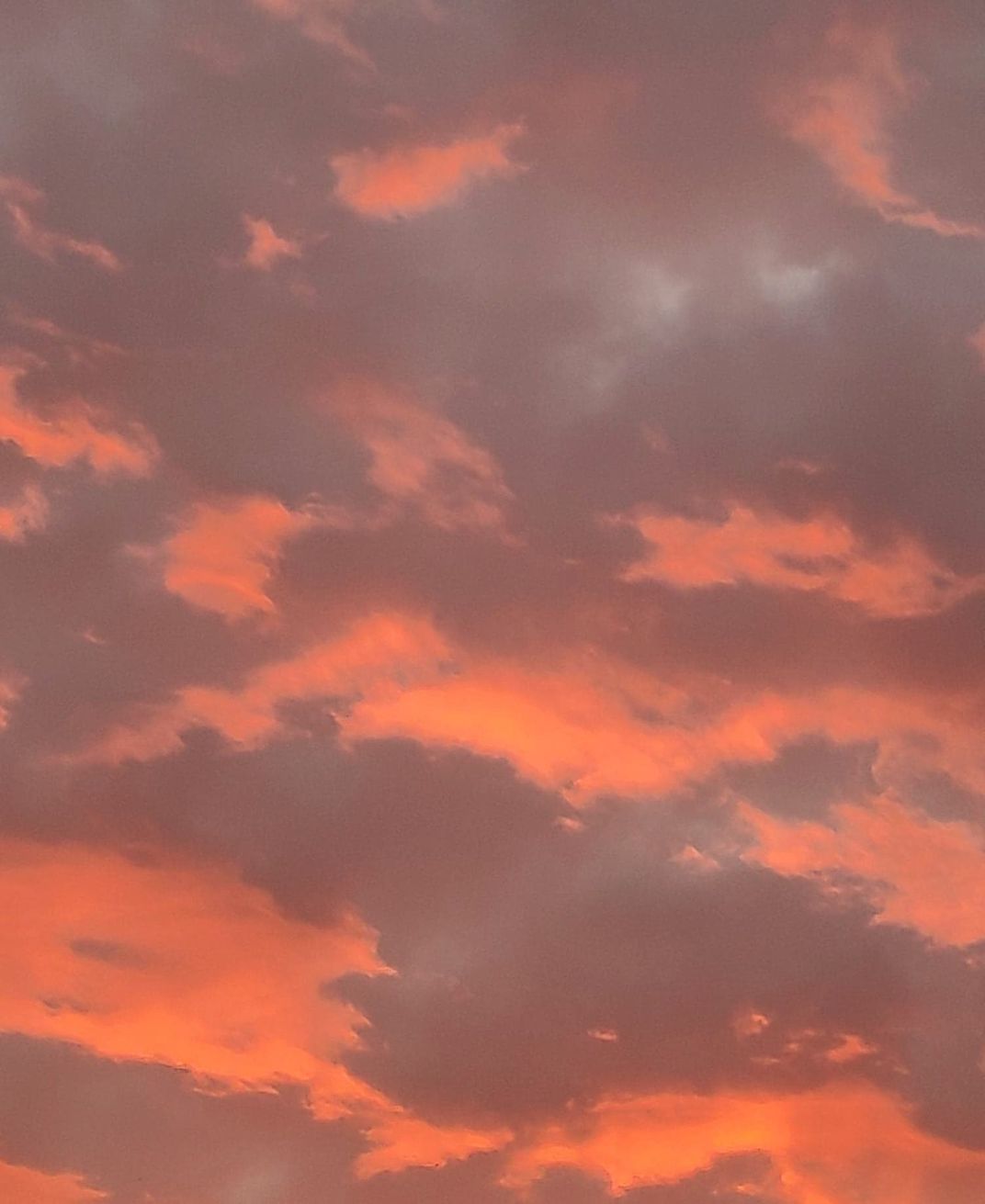 Landrine ice sky | Smithsonian Photo Contest | Smithsonian Magazine