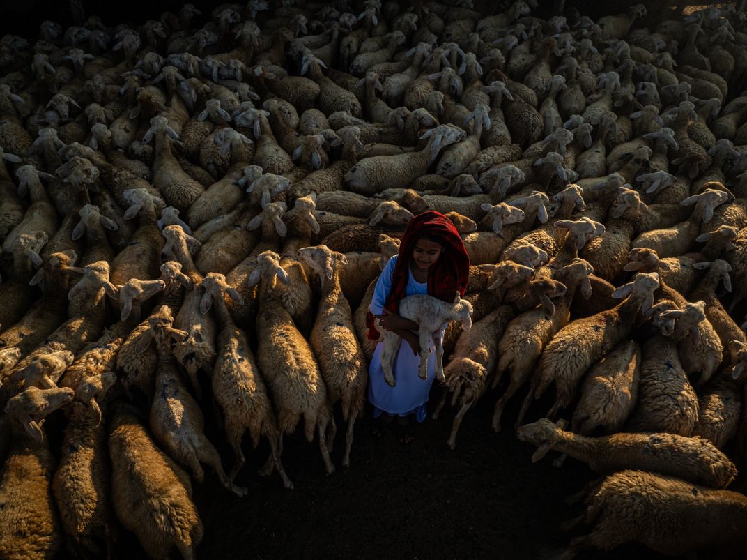 Cham boy and his flock of sheep | Smithsonian Photo Contest ...