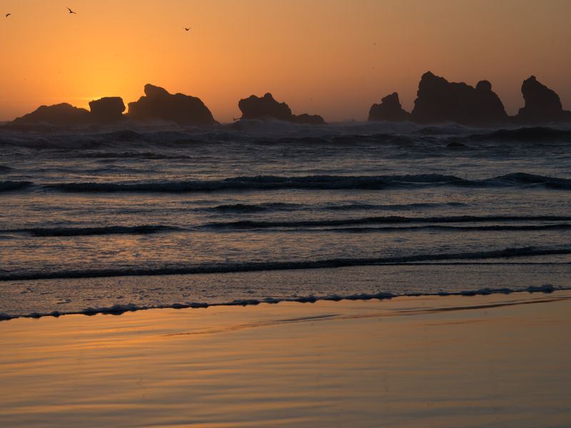 Peaceful sunset at the beach | Smithsonian Photo Contest | Smithsonian ...