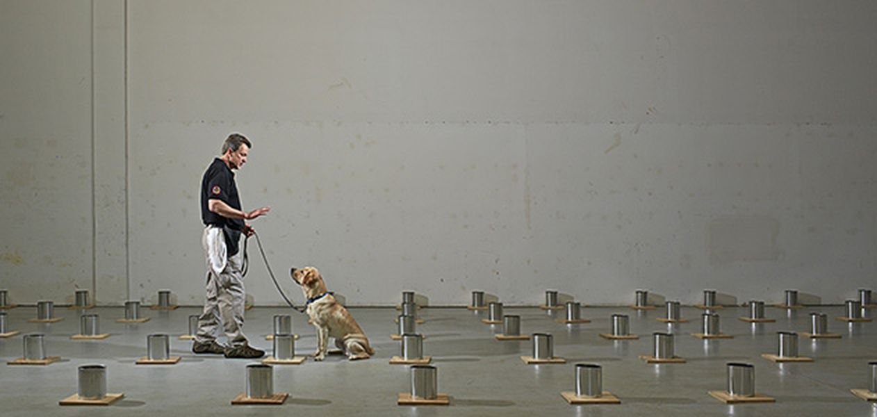 The Education of a Bomb Dog