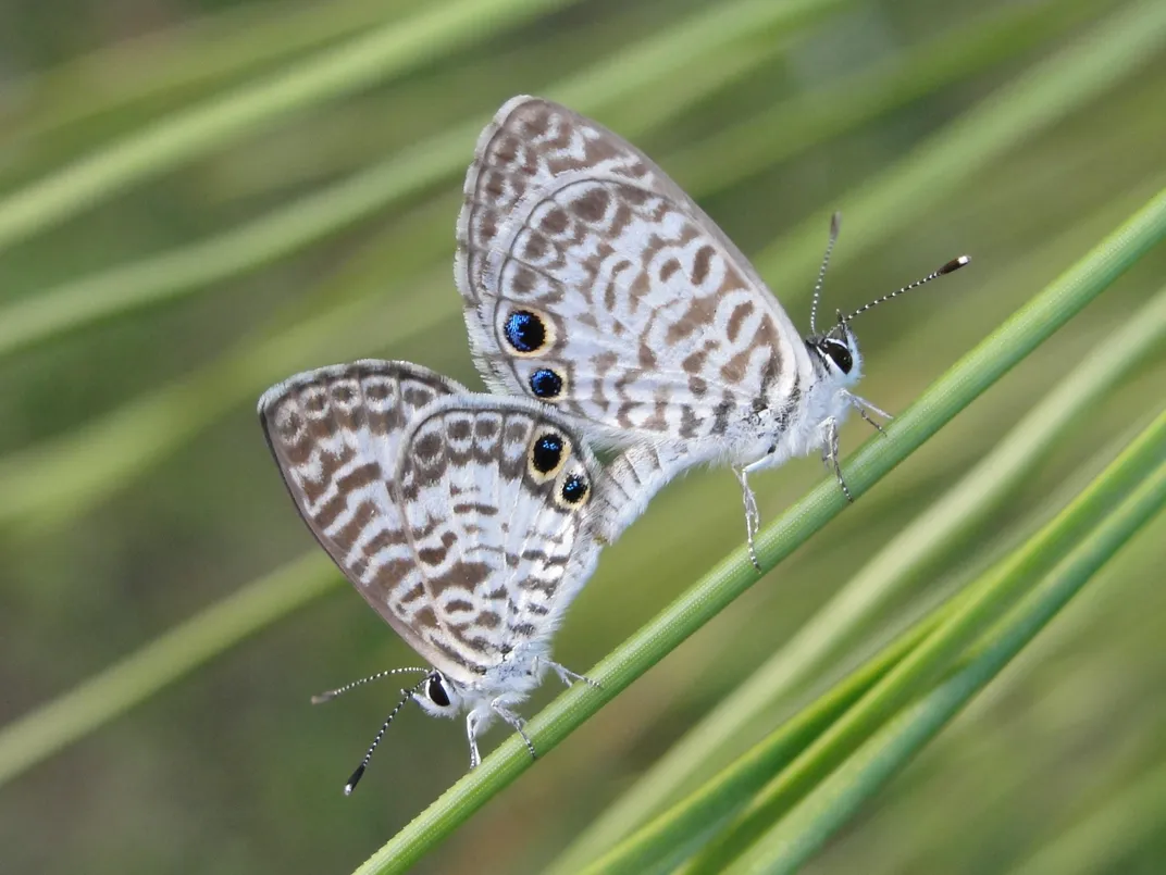 The circle of life continues. | Smithsonian Photo Contest | Smithsonian ...