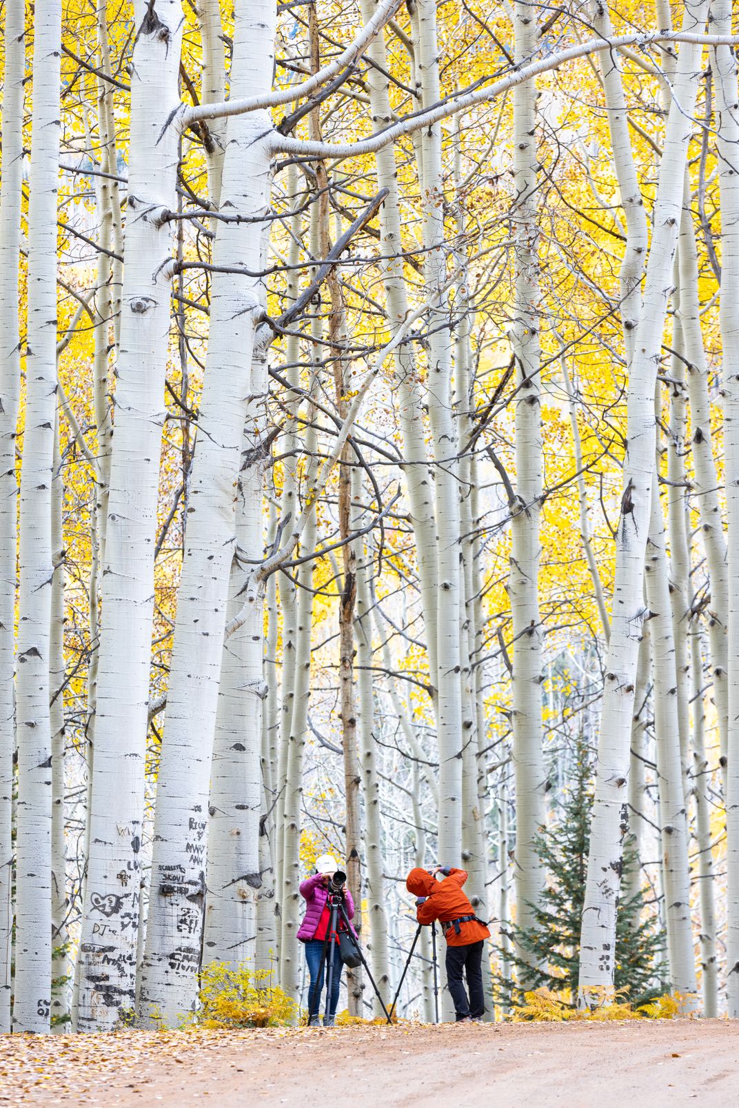 Taking Autumn Photos | Smithsonian Photo Contest | Smithsonian Magazine
