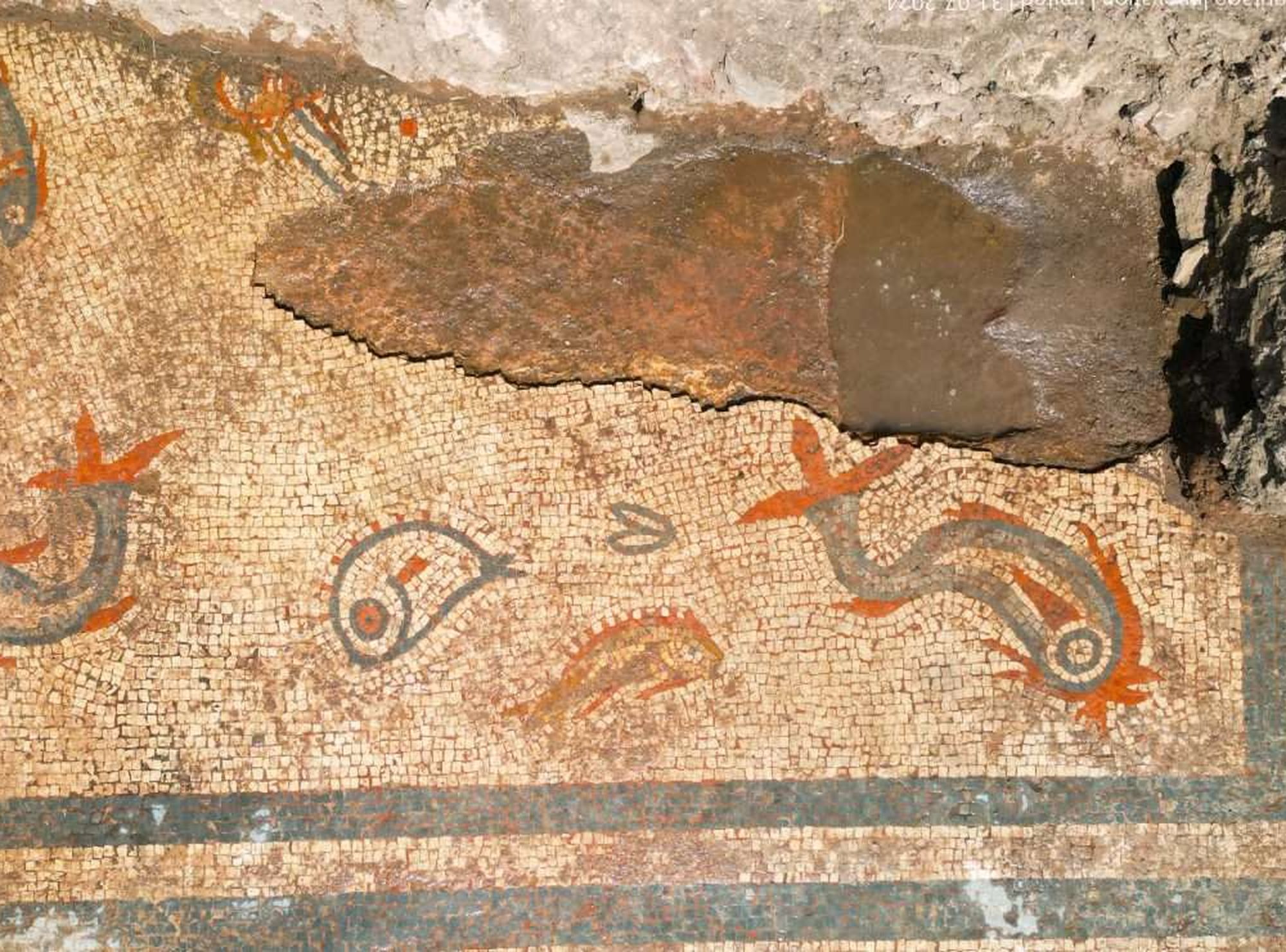 Archaeologists Stumble Upon a 2,000-Year-Old Dolphin Mosaic in England
