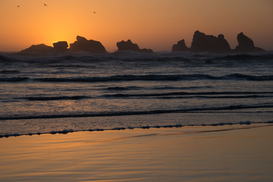 Peaceful sunset at the beach | Smithsonian Photo Contest | Smithsonian ...