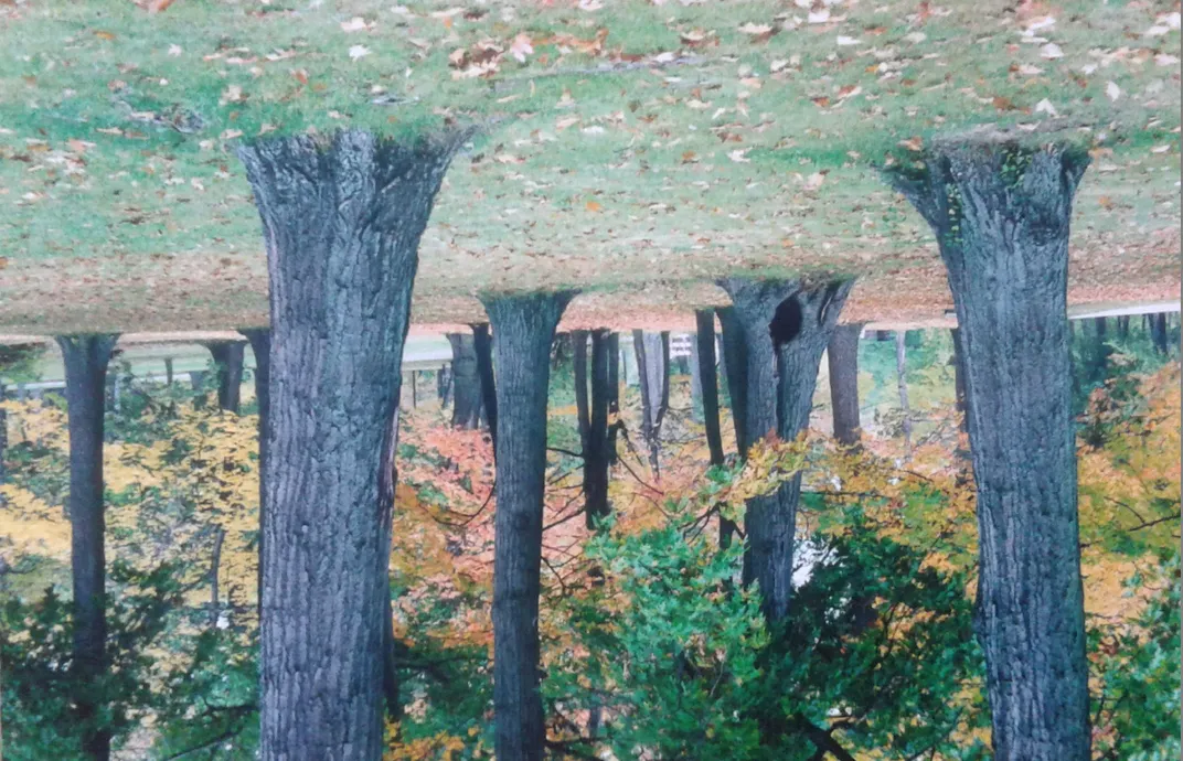 Autumn At Elizabeth Park In Trenton, Michigan | Smithsonian Photo ...