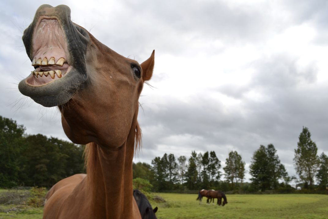 Cheeeeese! | Smithsonian Photo Contest | Smithsonian Magazine