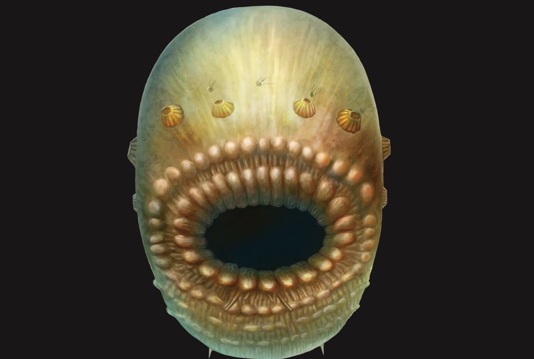 human like creatures