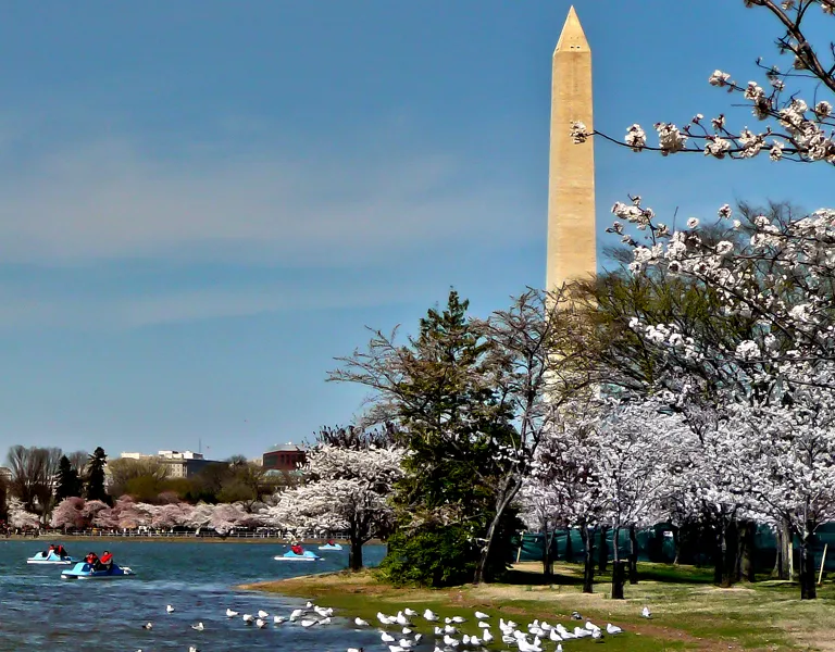 Washington Monument state park | Smithsonian Photo Contest ...