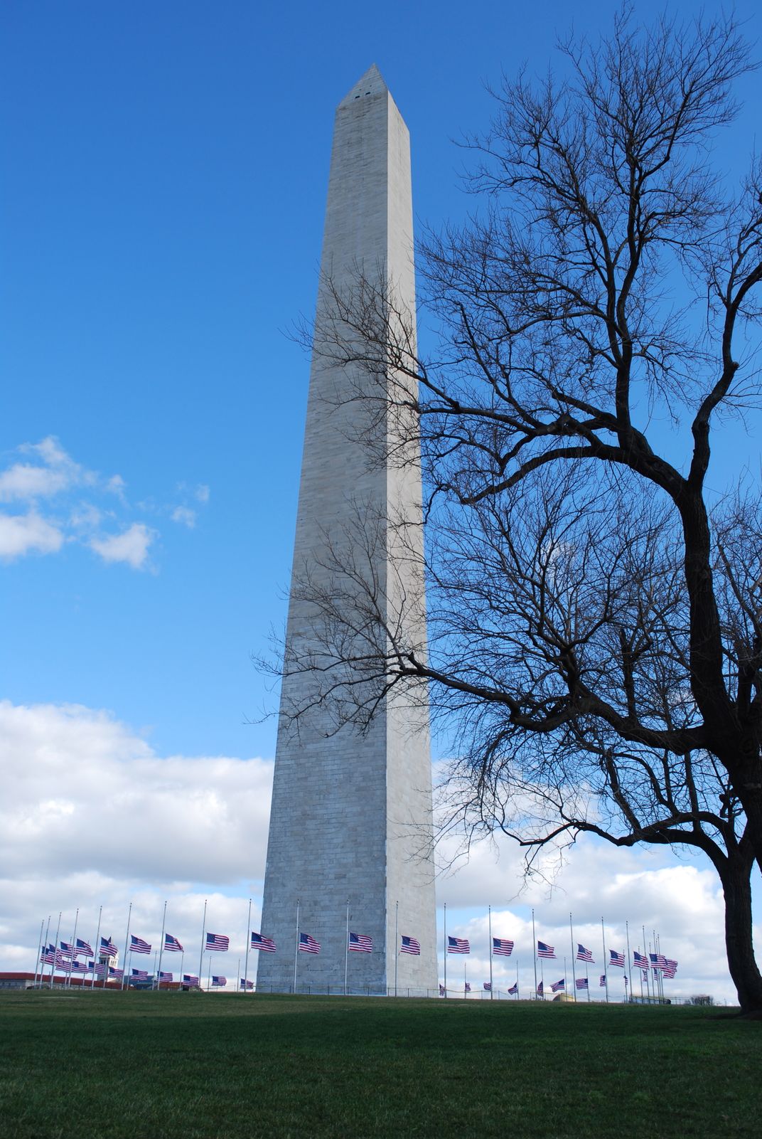 A December stroll around the Washington Monument. | Smithsonian Photo ...