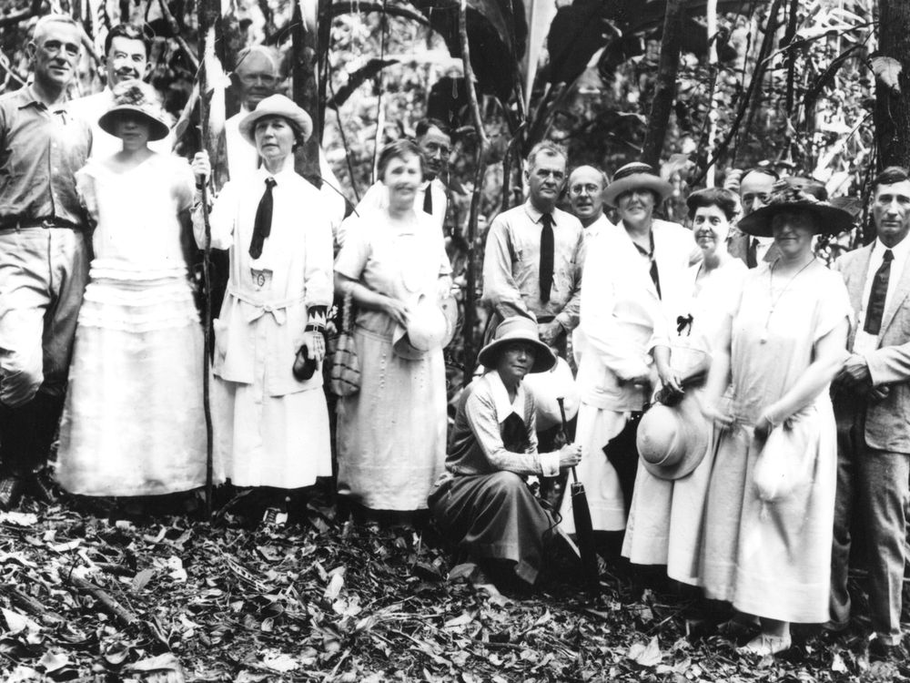 Barro Colorado Island, One Hundred Years of Science and Discoveries ...