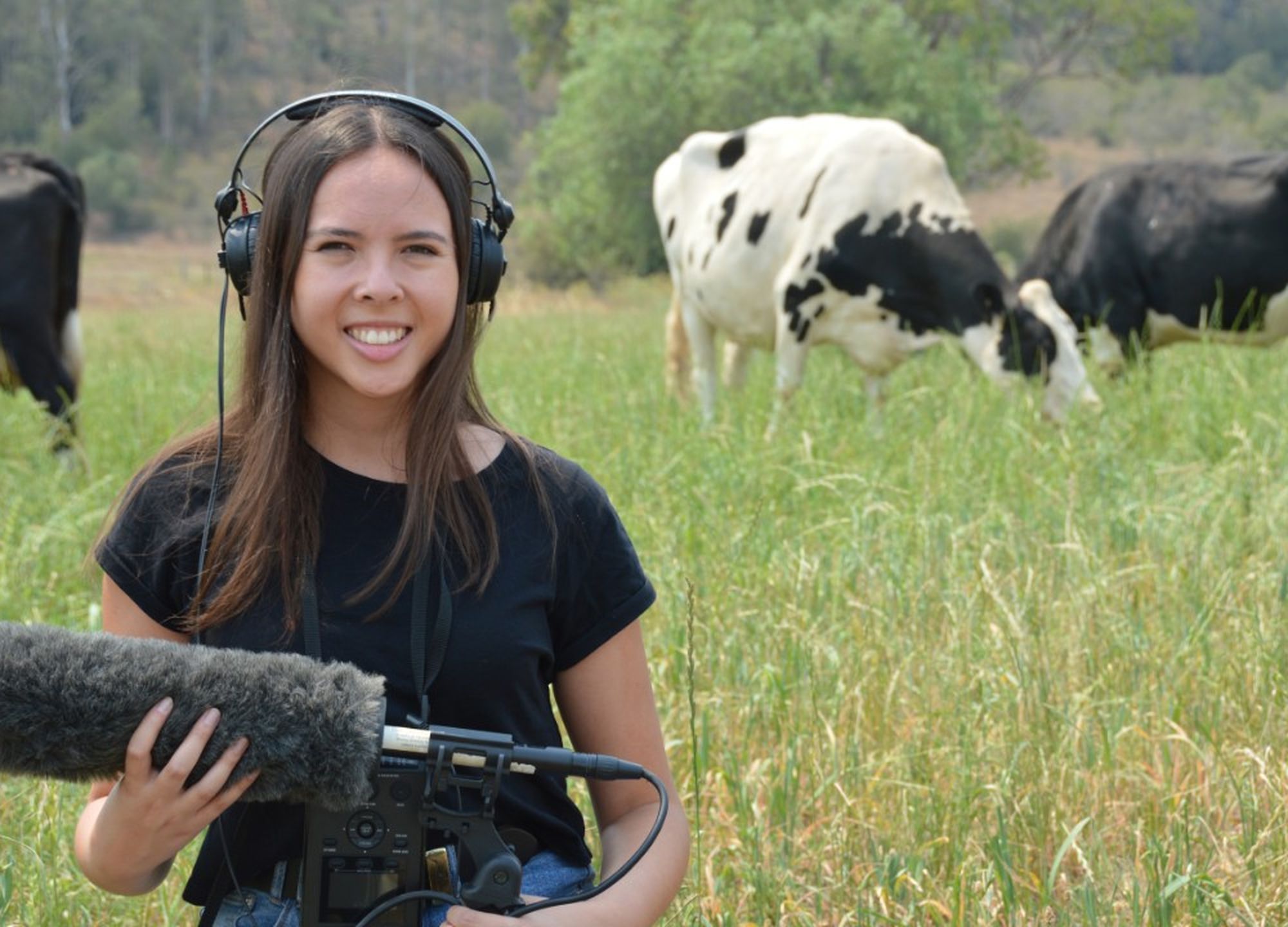 Cows Communicate With Unique Moos