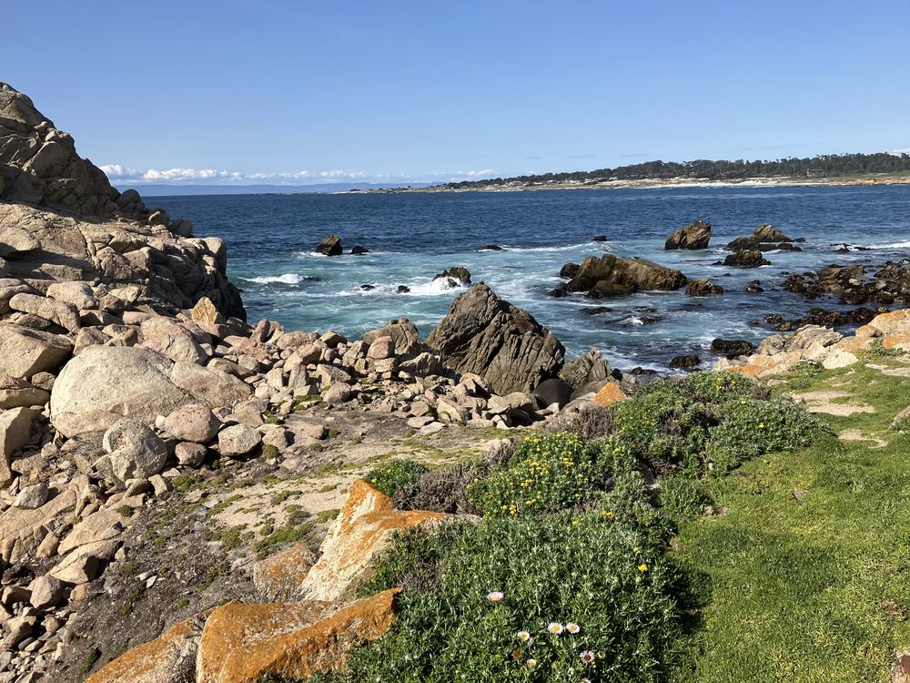 Pebble Beach scene | Smithsonian Photo Contest | Smithsonian Magazine