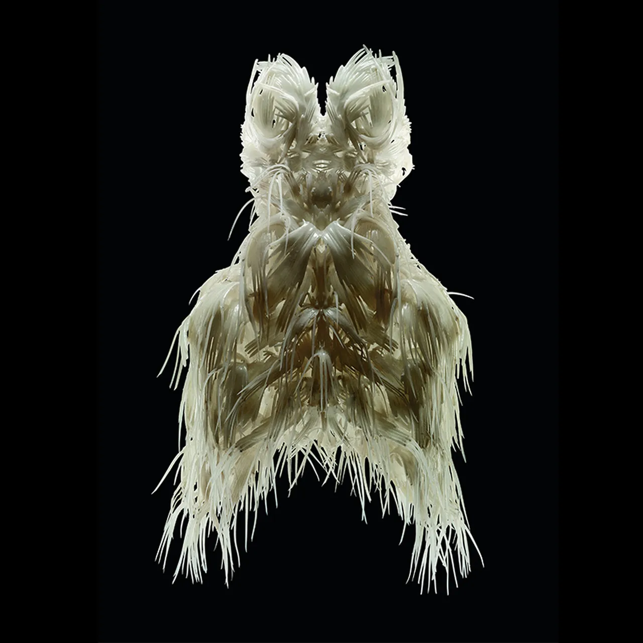 iris van herpen 2018