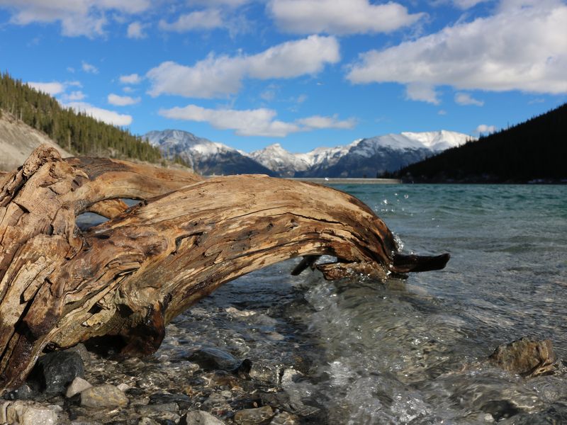 The Root of the Mountain | Smithsonian Photo Contest | Smithsonian Magazine