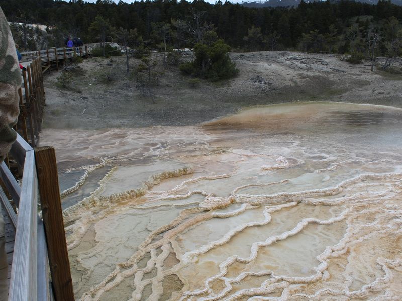 Hot Springs Pattern | Smithsonian Photo Contest | Smithsonian Magazine