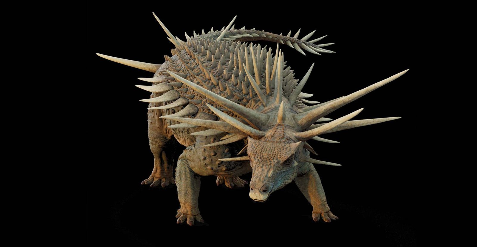 Oldest Known Fossil of an Armored Ankylosaur Is 'Far Weirder' Than ...