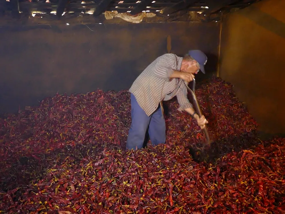 paprika spice origin