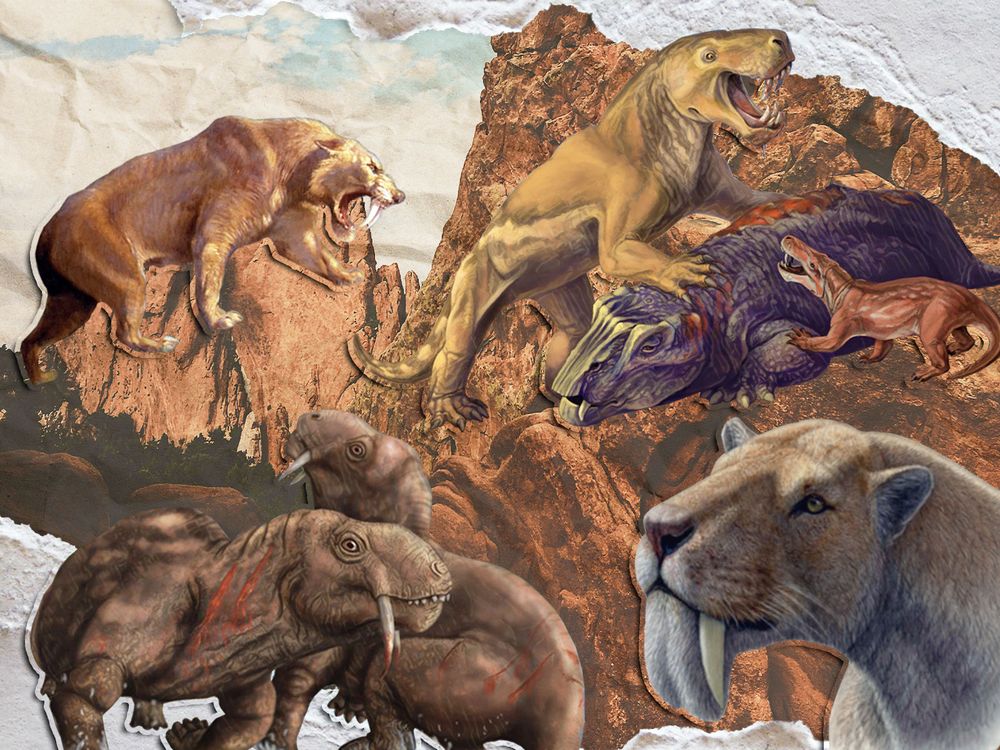 Eight Menacing Saber-Toothed Creatures That Stalked the Earth Long Ago