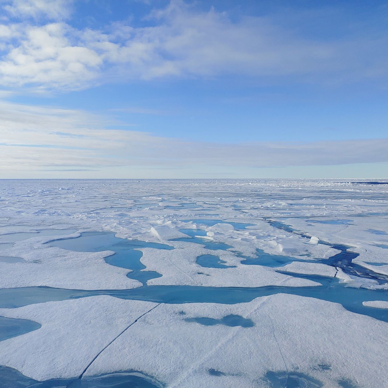 Arctic Ice