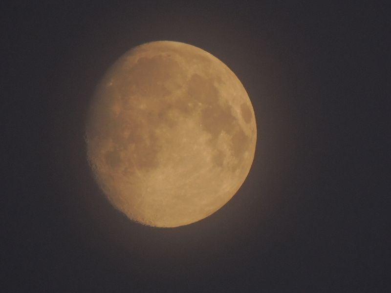 A Late Night Moon | Smithsonian Photo Contest | Smithsonian Magazine