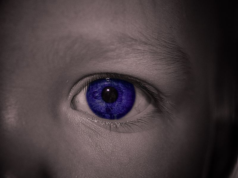 Take a look in the pupil, you can see the photographer (Me). That is ...