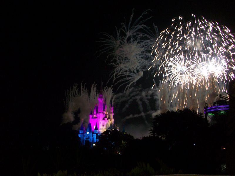 Disney magical celebration | Smithsonian Photo Contest | Smithsonian ...